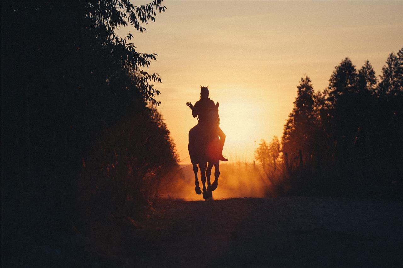 Zechariah 1 - A Call to Return to the Lord